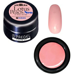 PREGEL COLOR EX 555 LOTUS PEACH – Nail Wonderland