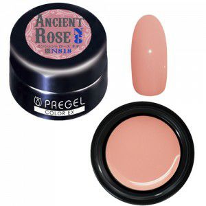 PREGEL COLOR EX 818 ANCIENT ROSE – Nail Wonderland